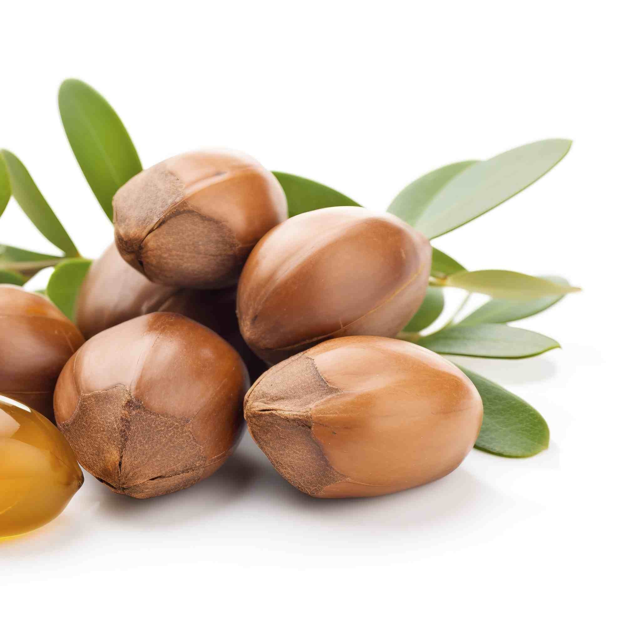 Huile d'Argan : Propriétés et bienfaits – Silkbiotic