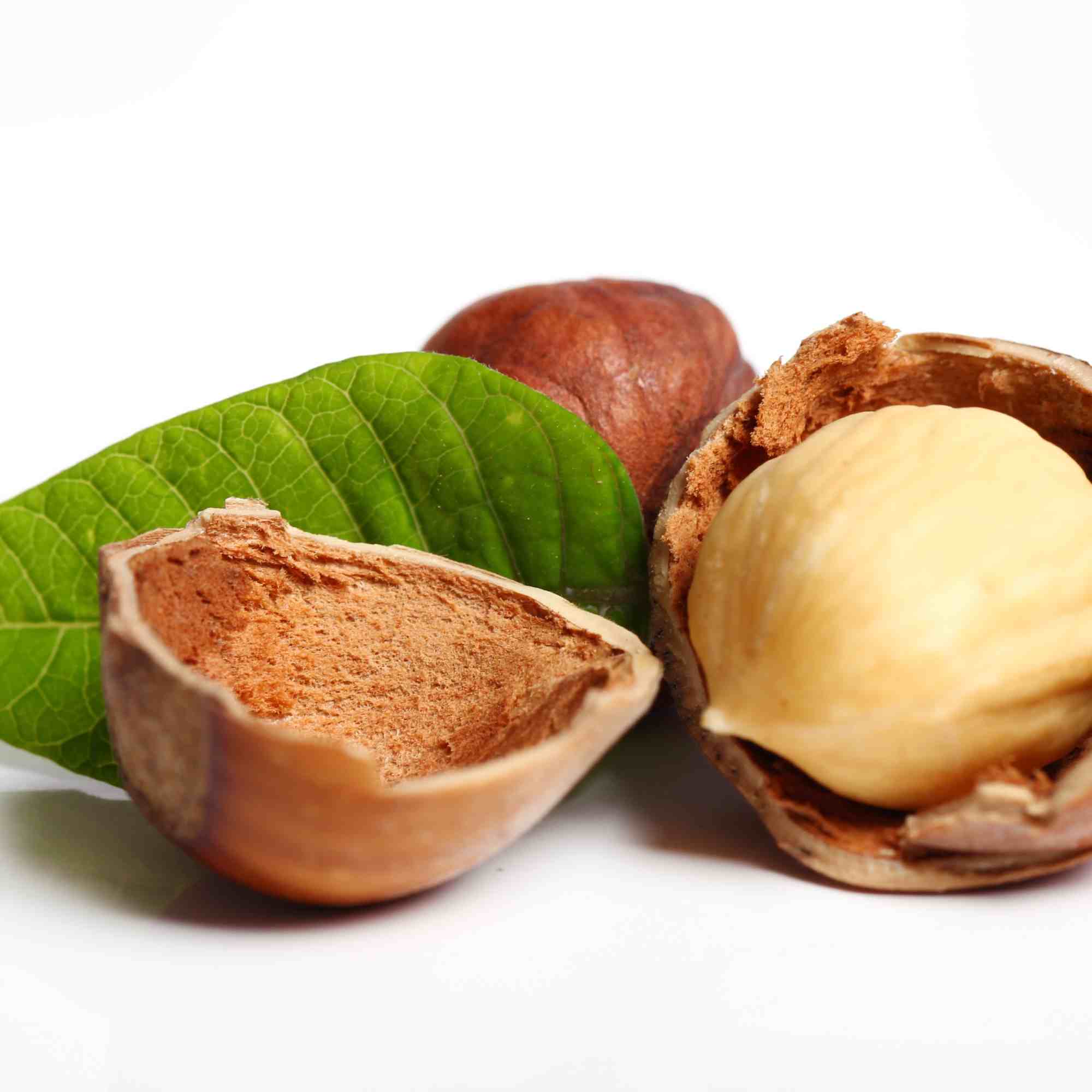 Beurre de Karité : Propriétés et bienfaits – Silkbiotic